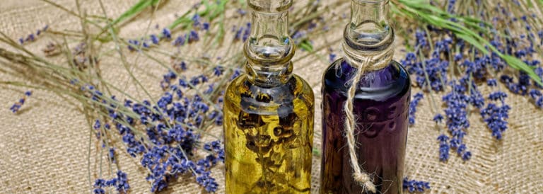 How to make lavender oil using steam distillation