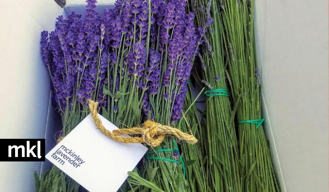 Big dried lavender bundles for sale at McKinley Lavender Farm!