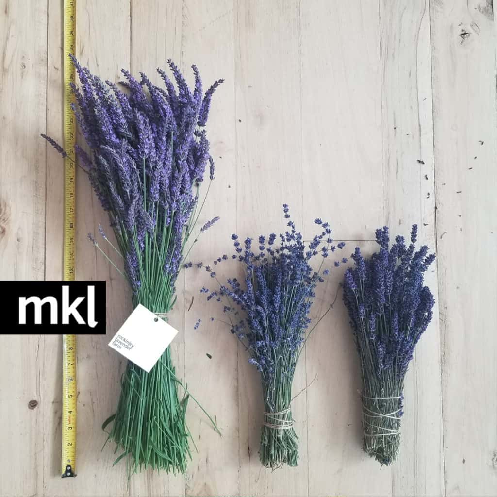 Fresh Lavender Bundles Local Pickup Available in Kelowna!