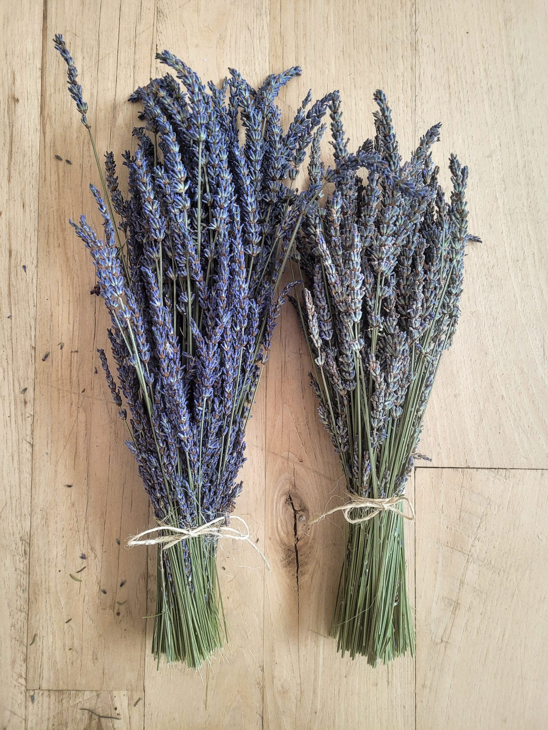 Lavender boxes from McKinley Lavender Farm make amazing gifts!