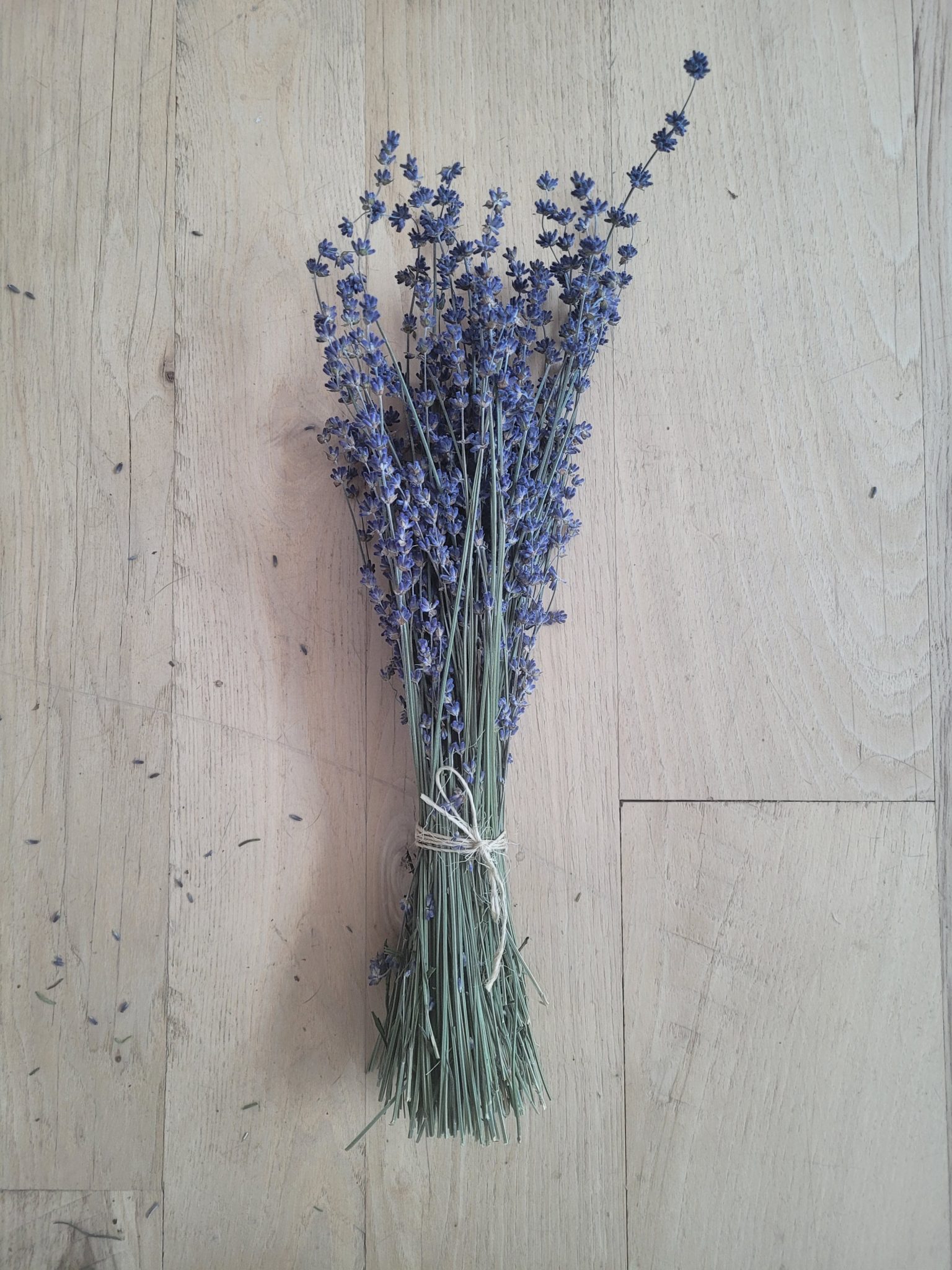 Lavender boxes from McKinley Lavender Farm make amazing gifts!
